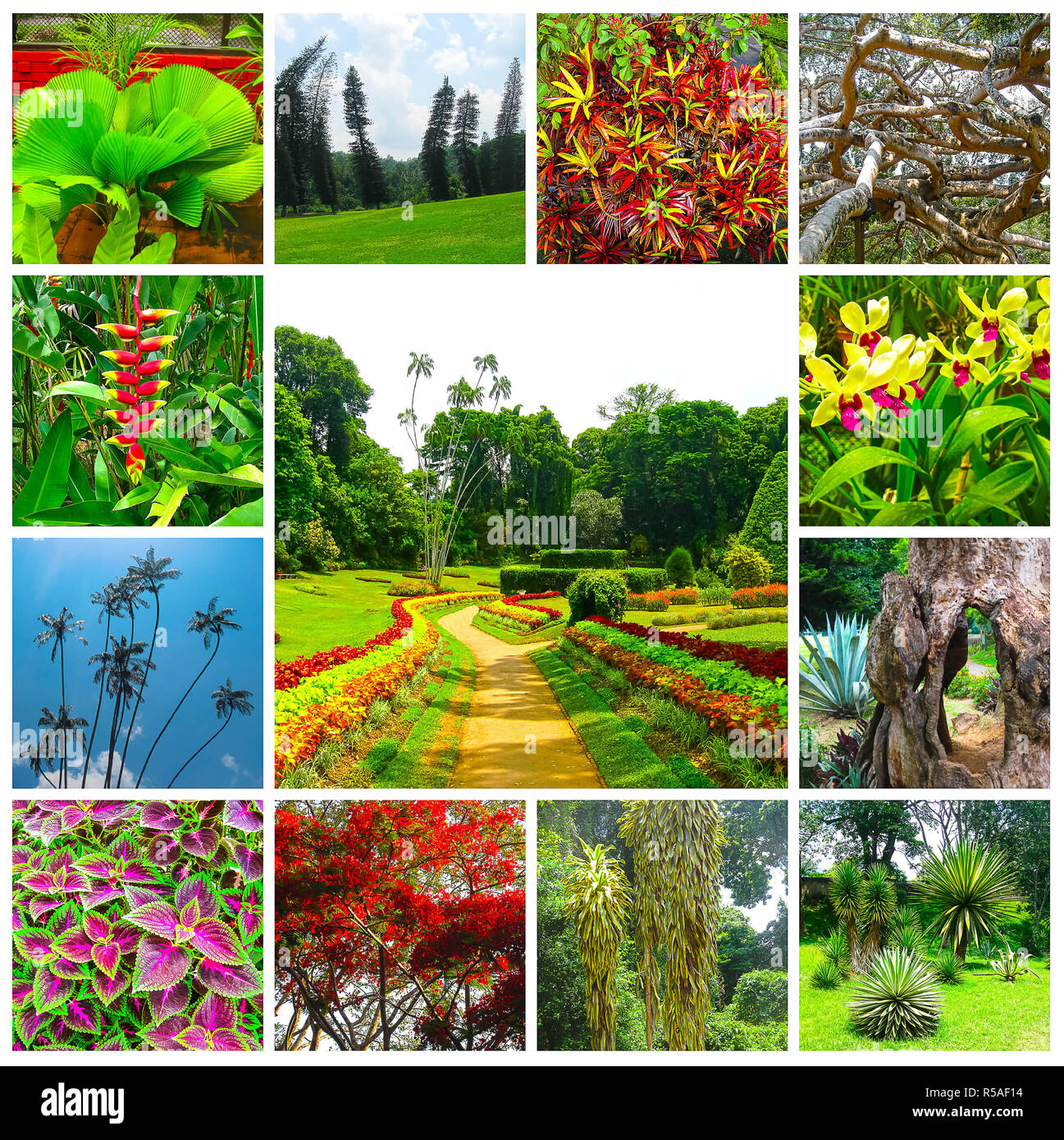 Peradeniya Botanical Garden