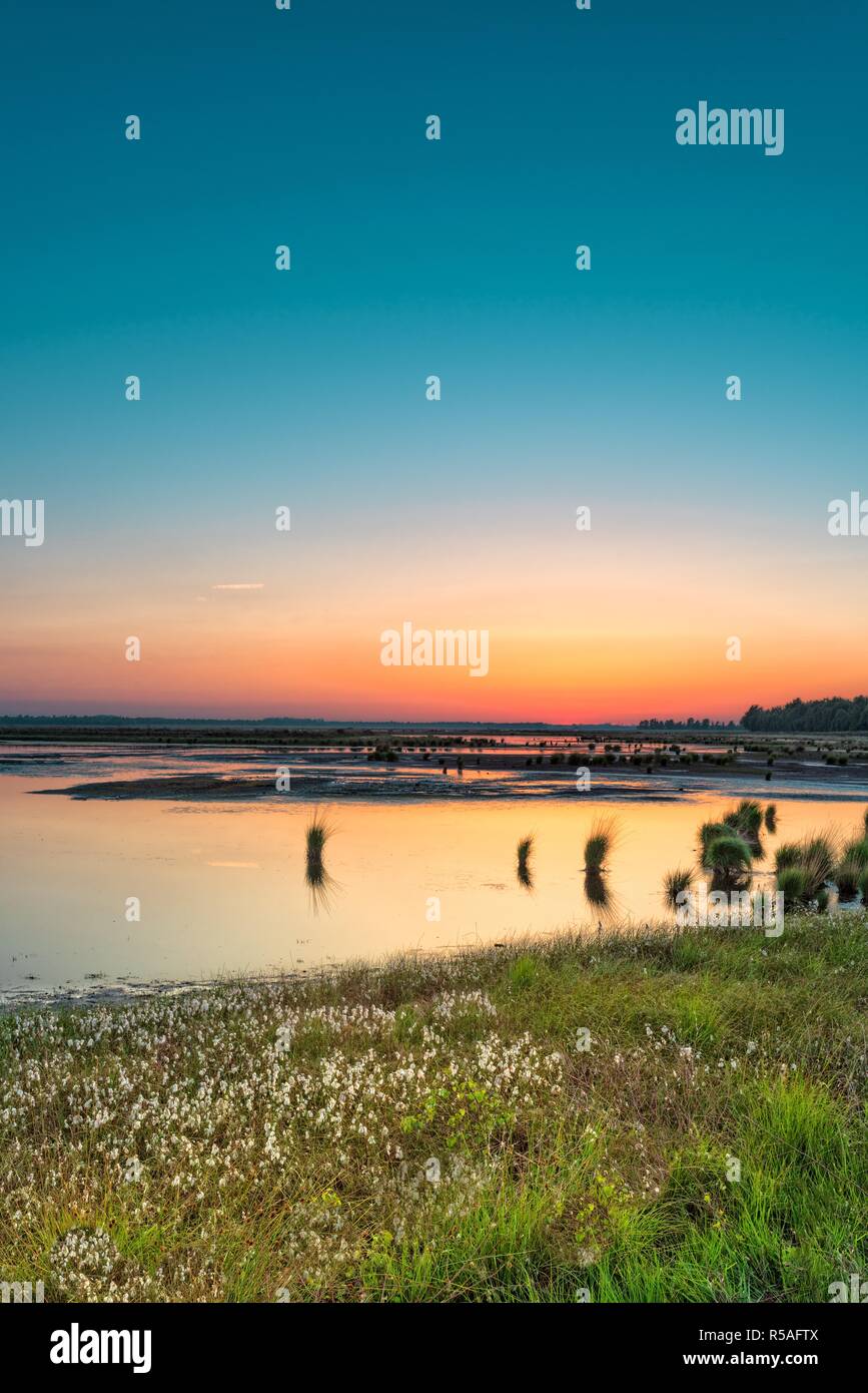 Totes Moor High Resolution Stock Photography and Images - Alamy