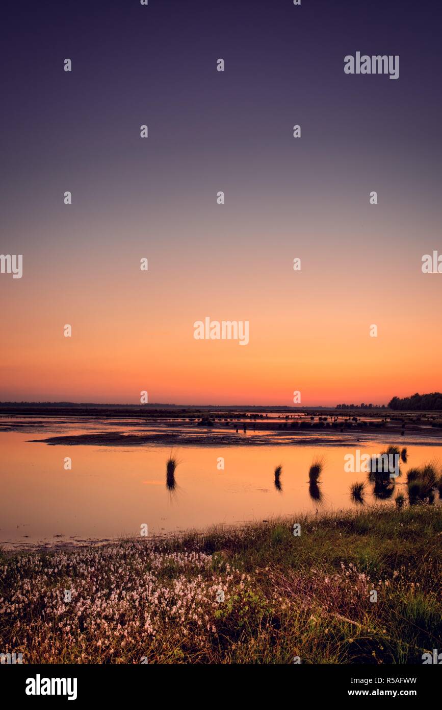 north german moor area Stock Photo - Alamy