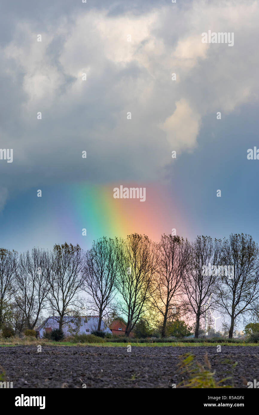 Rainbow colour community hi-res stock photography and images - Alamy