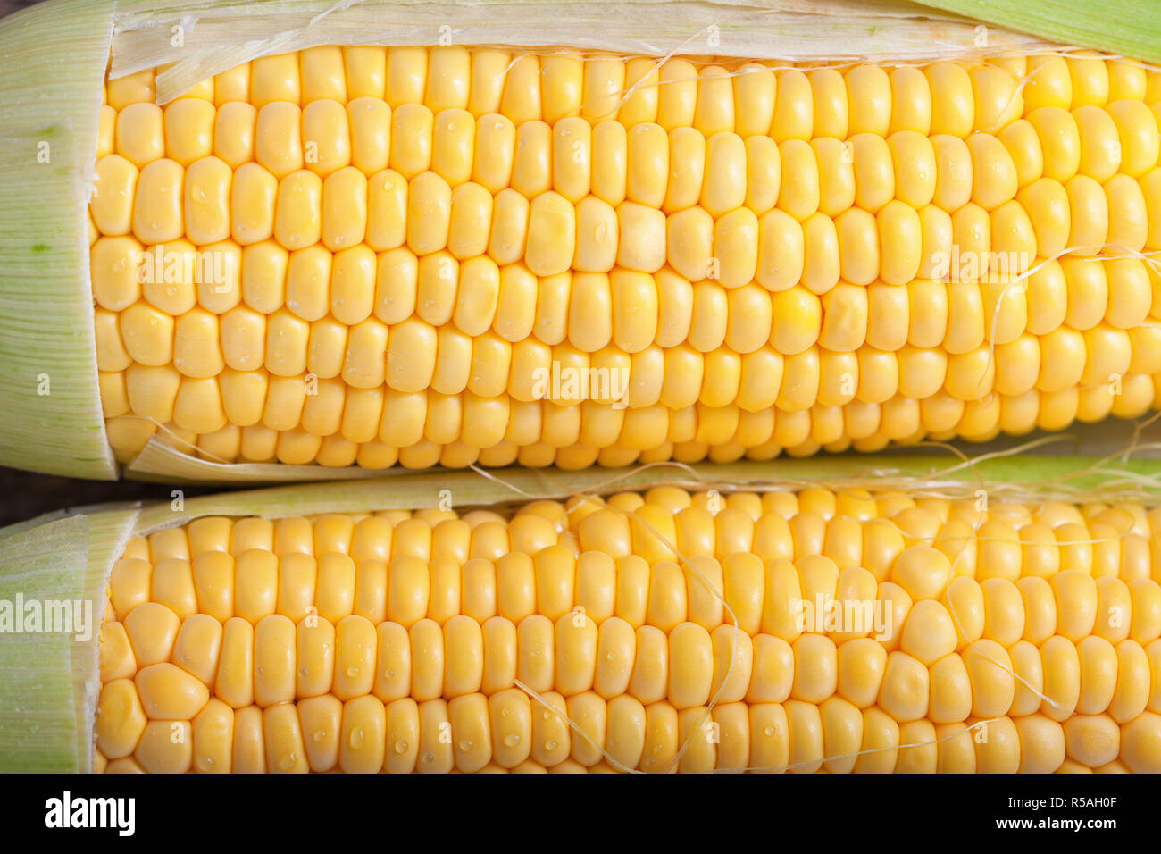 Fresh sweet corn Stock Photo - Alamy