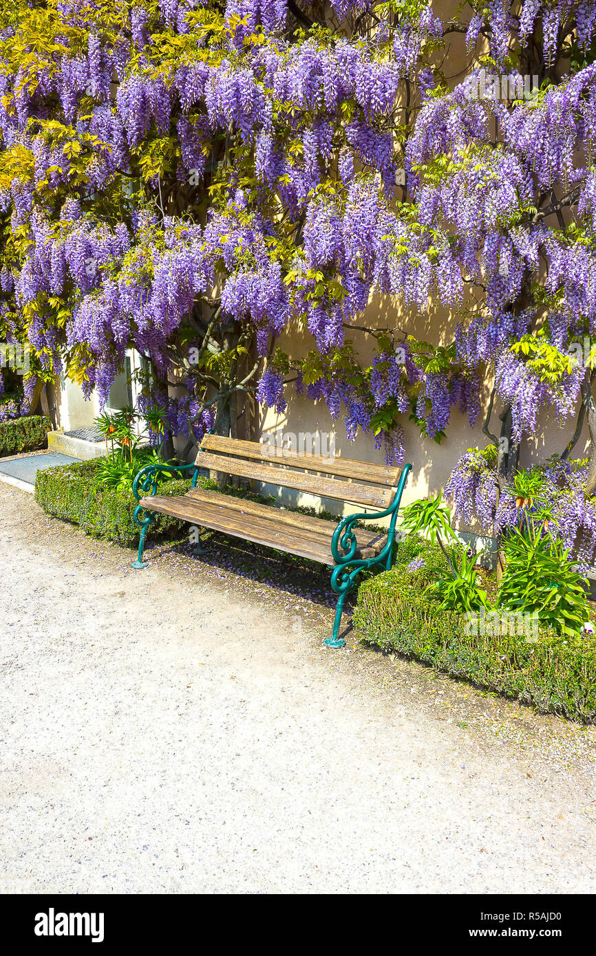 The bench surrounded by spring flowers Stock Photo - Alamy
