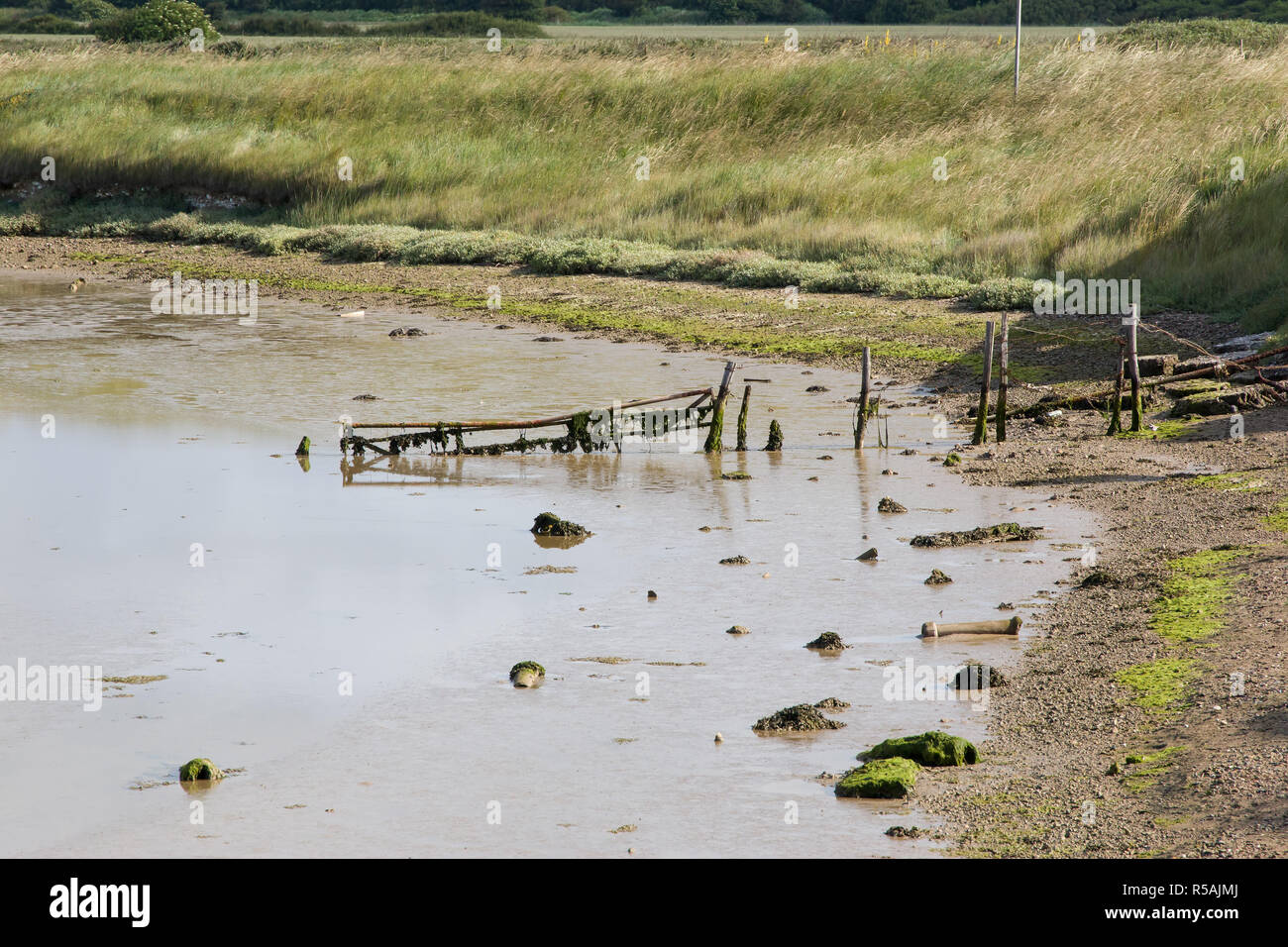 Tide mills sussex hi-res stock photography and images - Alamy