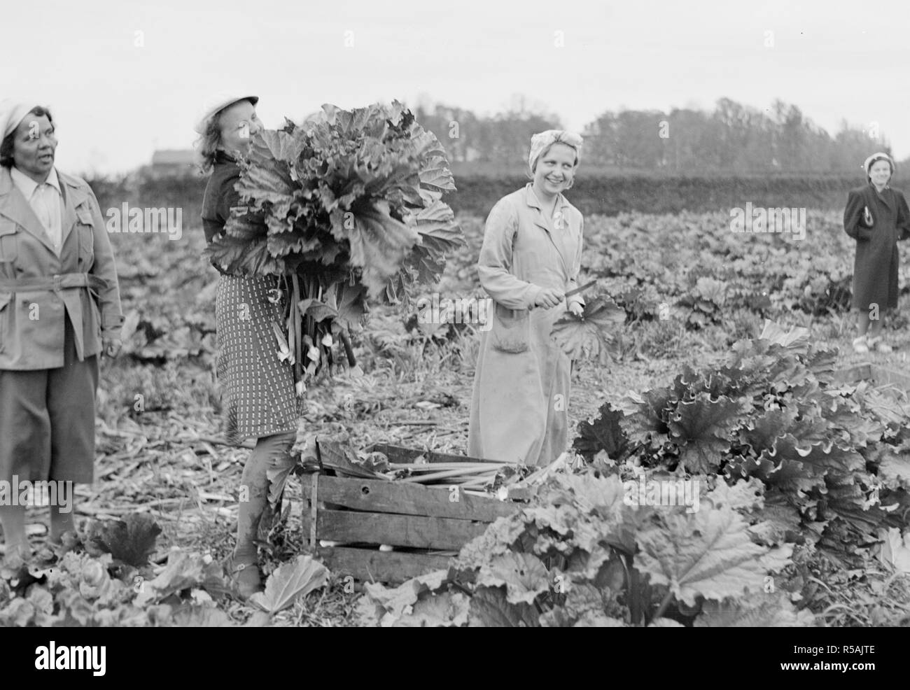 1940s production industrial food hi-res stock photography and images ...