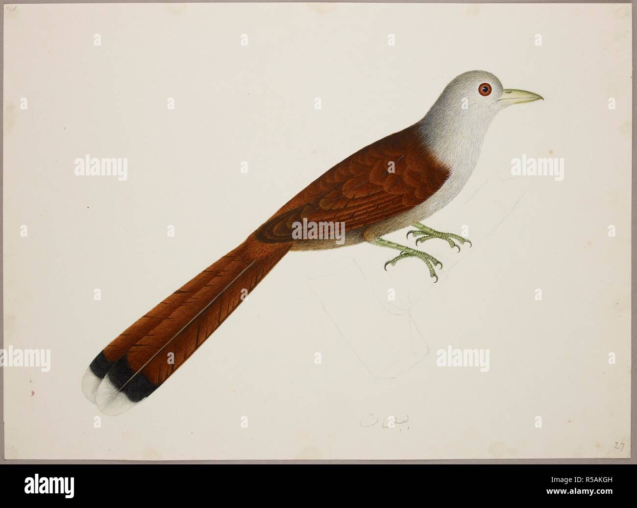 J briois hi-res stock photography and images - Alamy