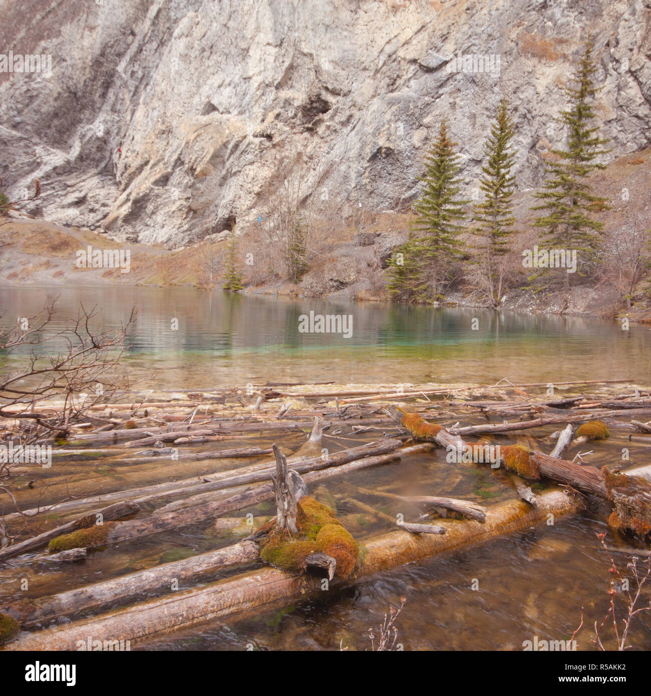 Grassi Lake Landscape Stock Photo - Alamy