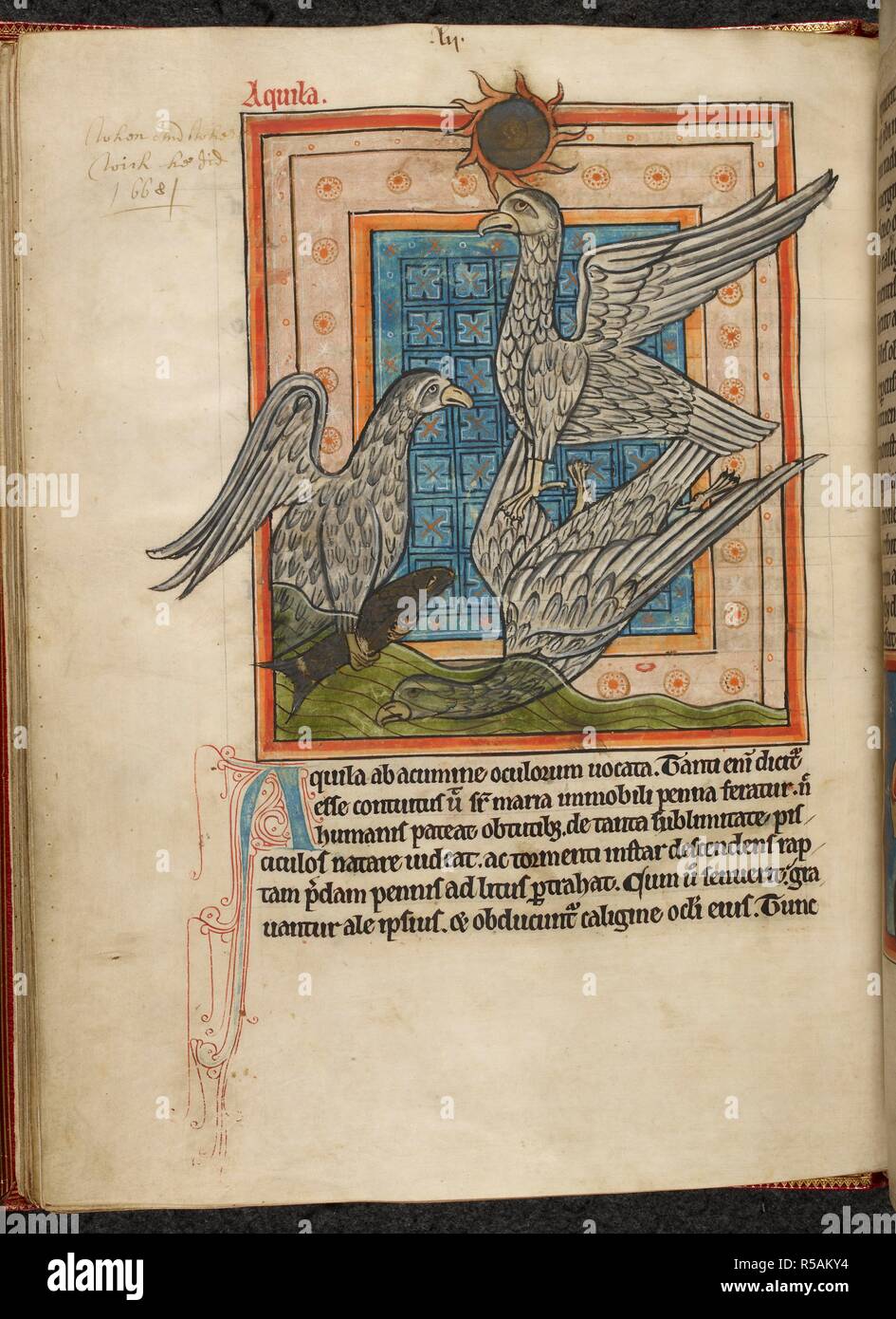 Three large birds of prey. Eagles, one holding a fish, one rising from ...