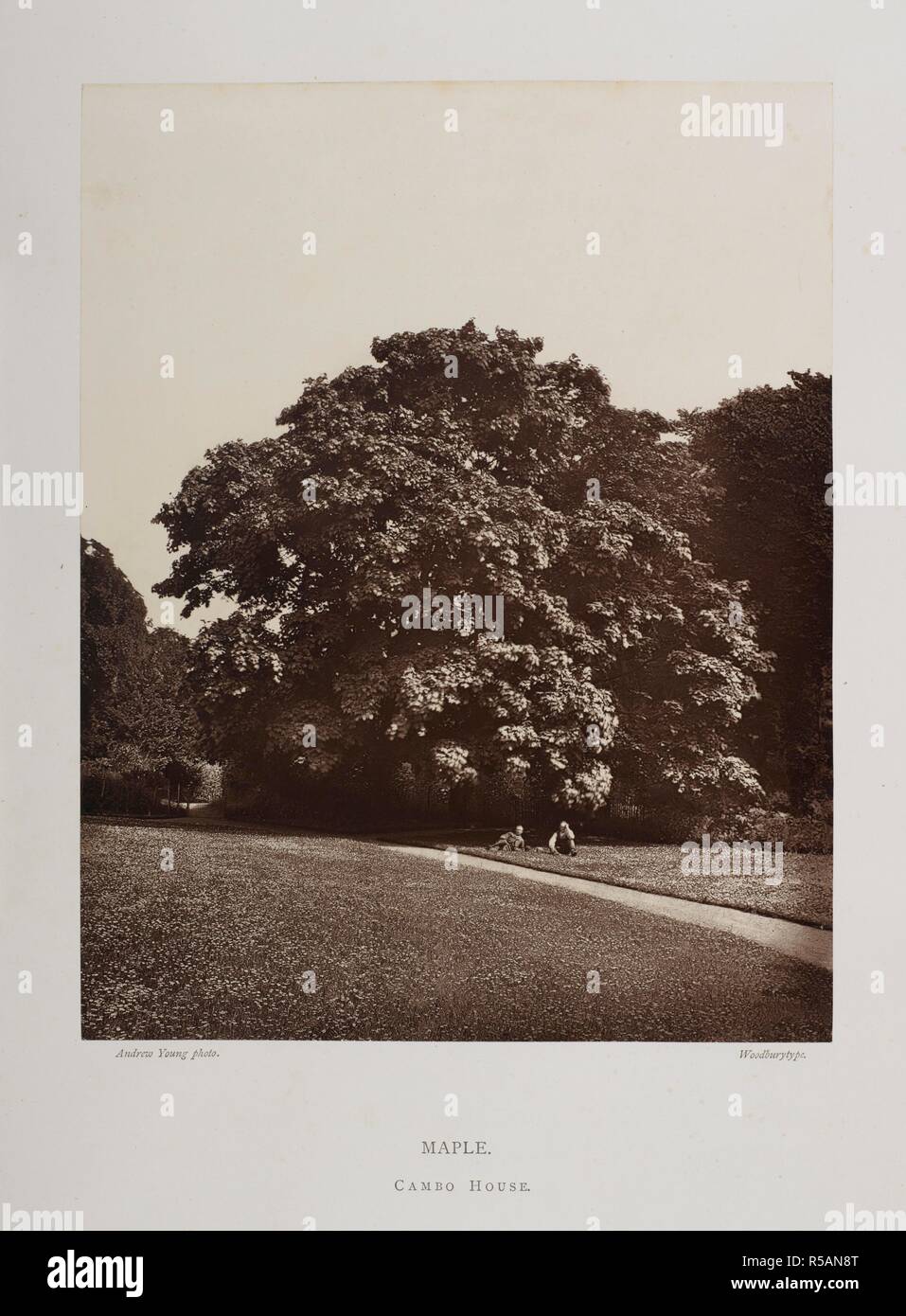 Hs timber hi-res stock photography and images - Alamy