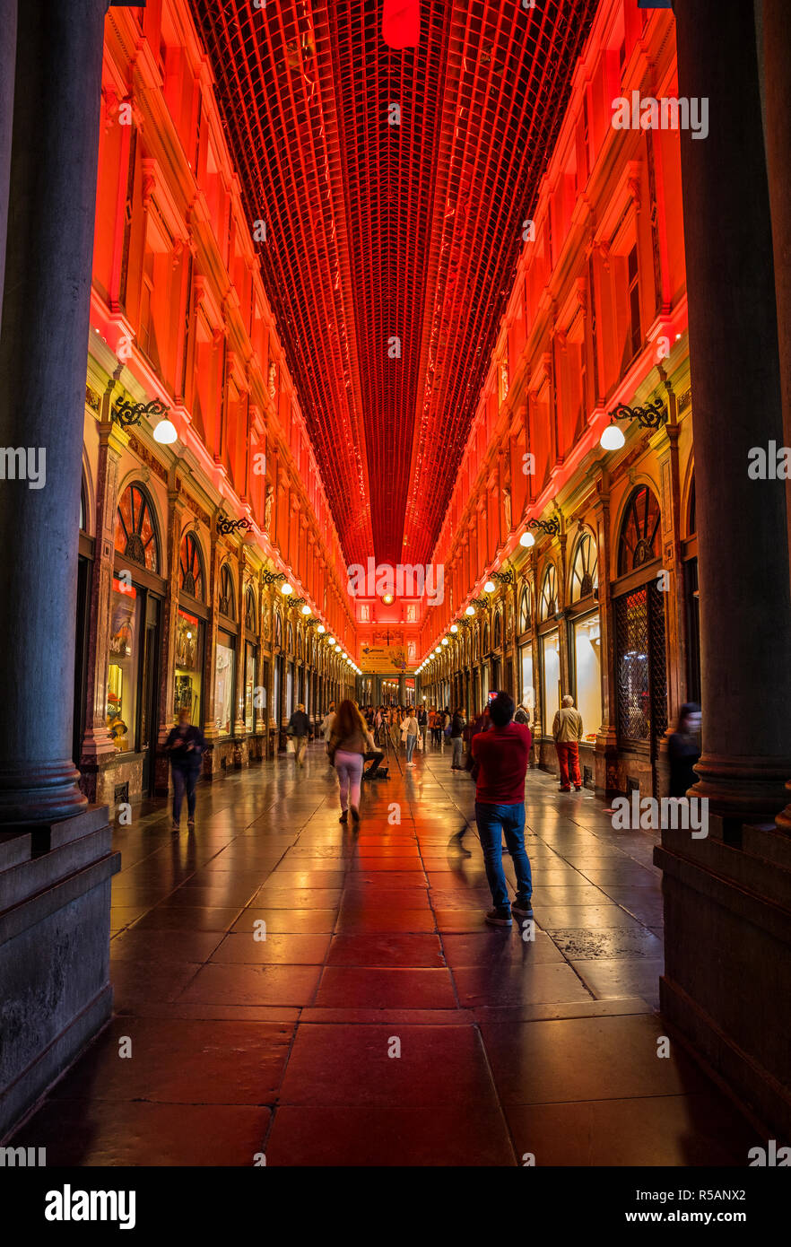 St Hubert High Resolution Stock Photography and Images - Alamy