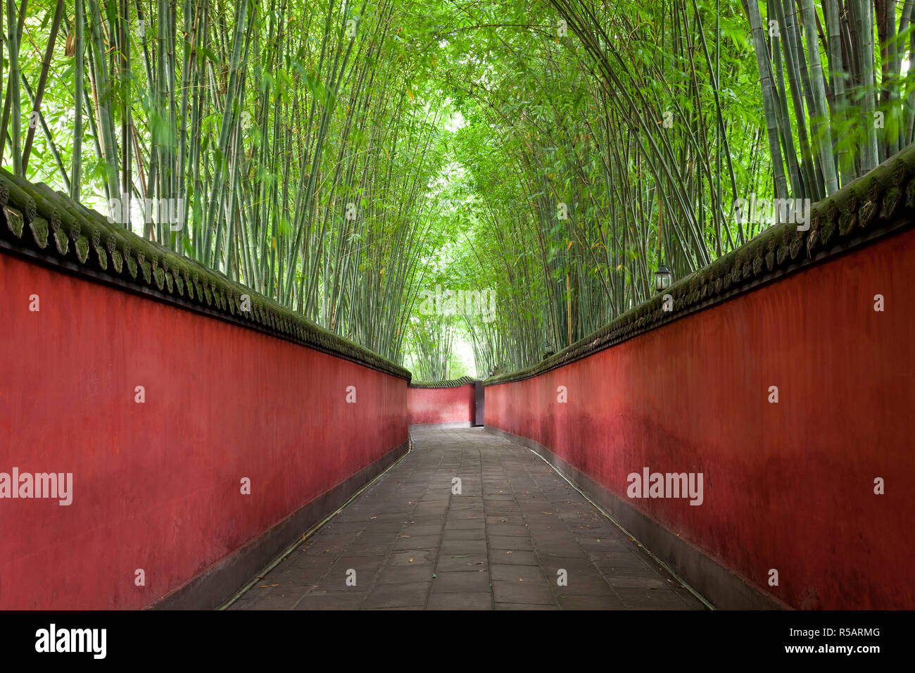 Walkway with bamboo canopy, Wuhou Shrine, Chengdu, Sichuan, China Stock ...