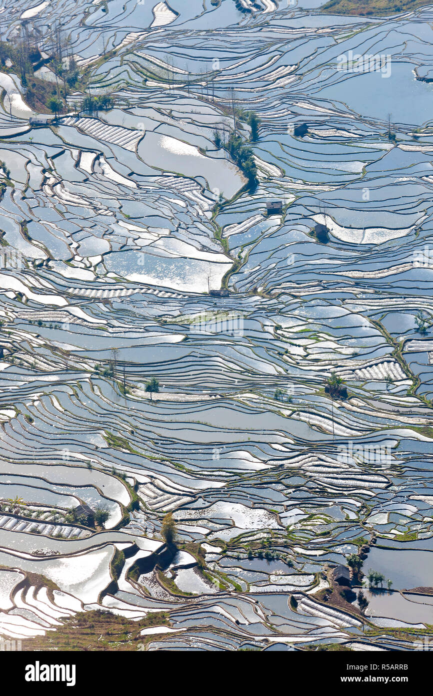 Water Filled Rice Terraces China