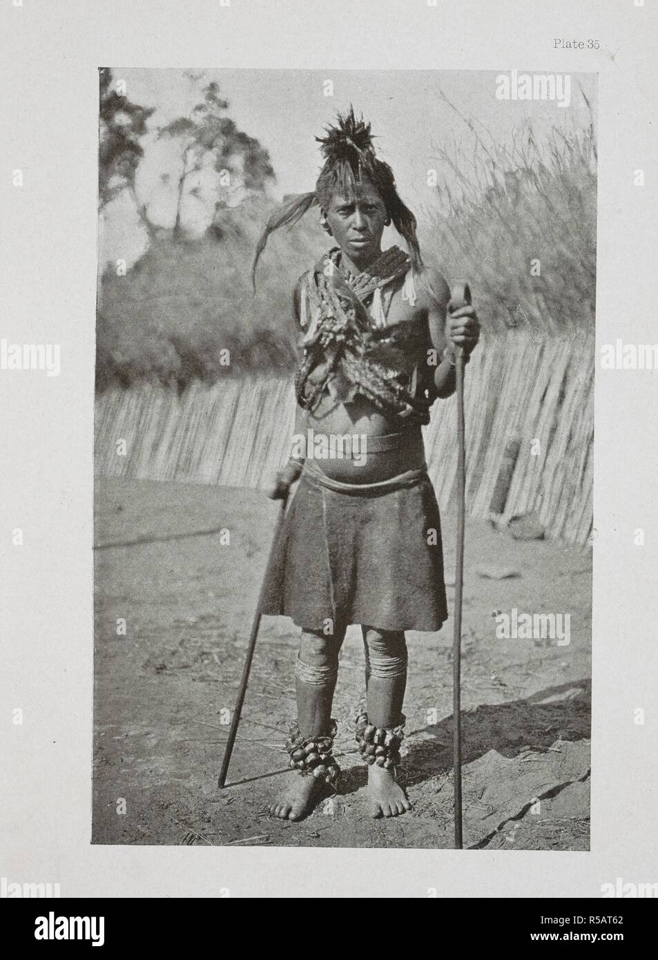 A Zulu withdoctor ready for dancing. Round her her ankles are cocoon ...