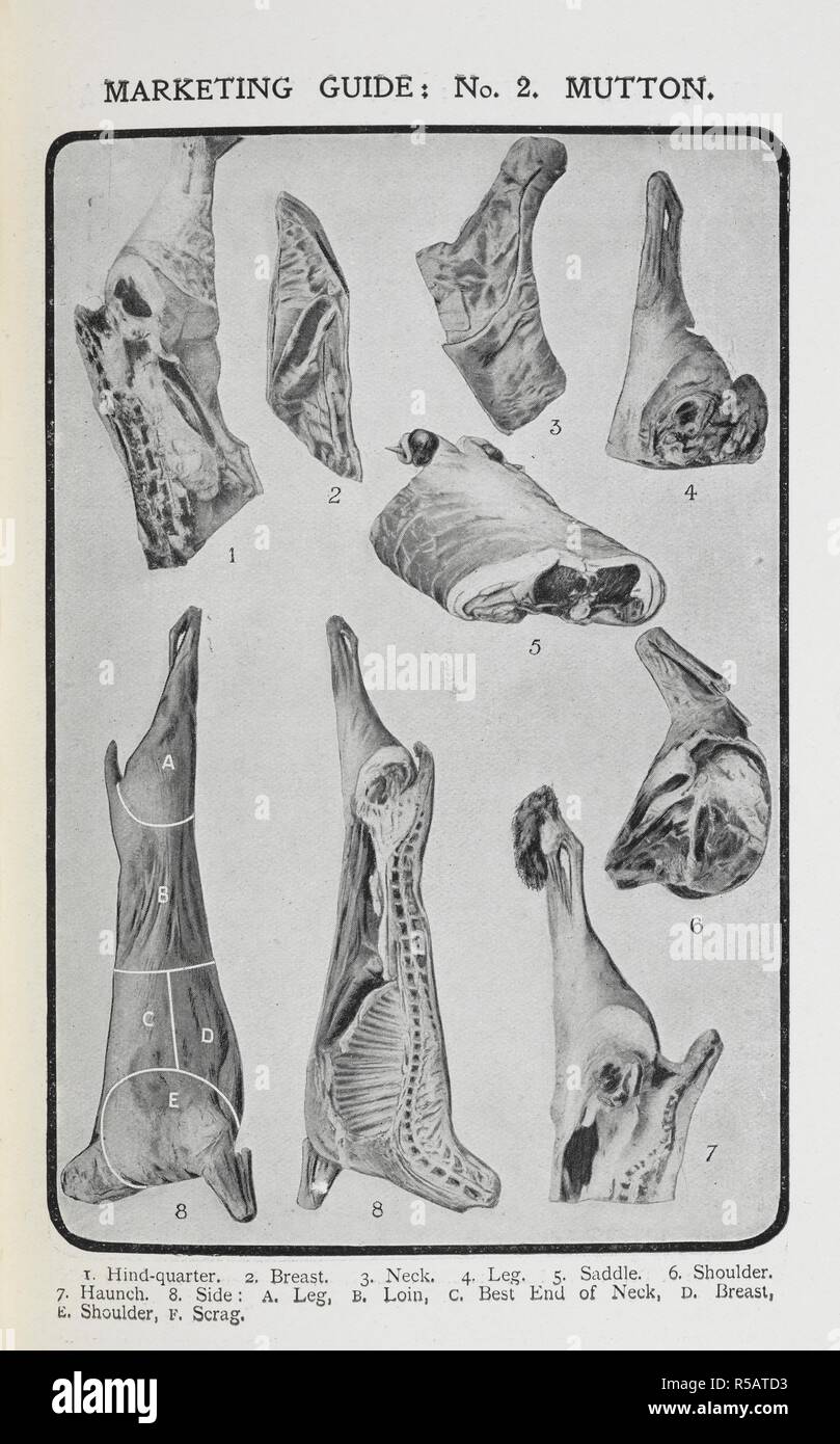 Various cuts of mutton. Mrs. Beeton's Family Cookery and Housekeeping ...