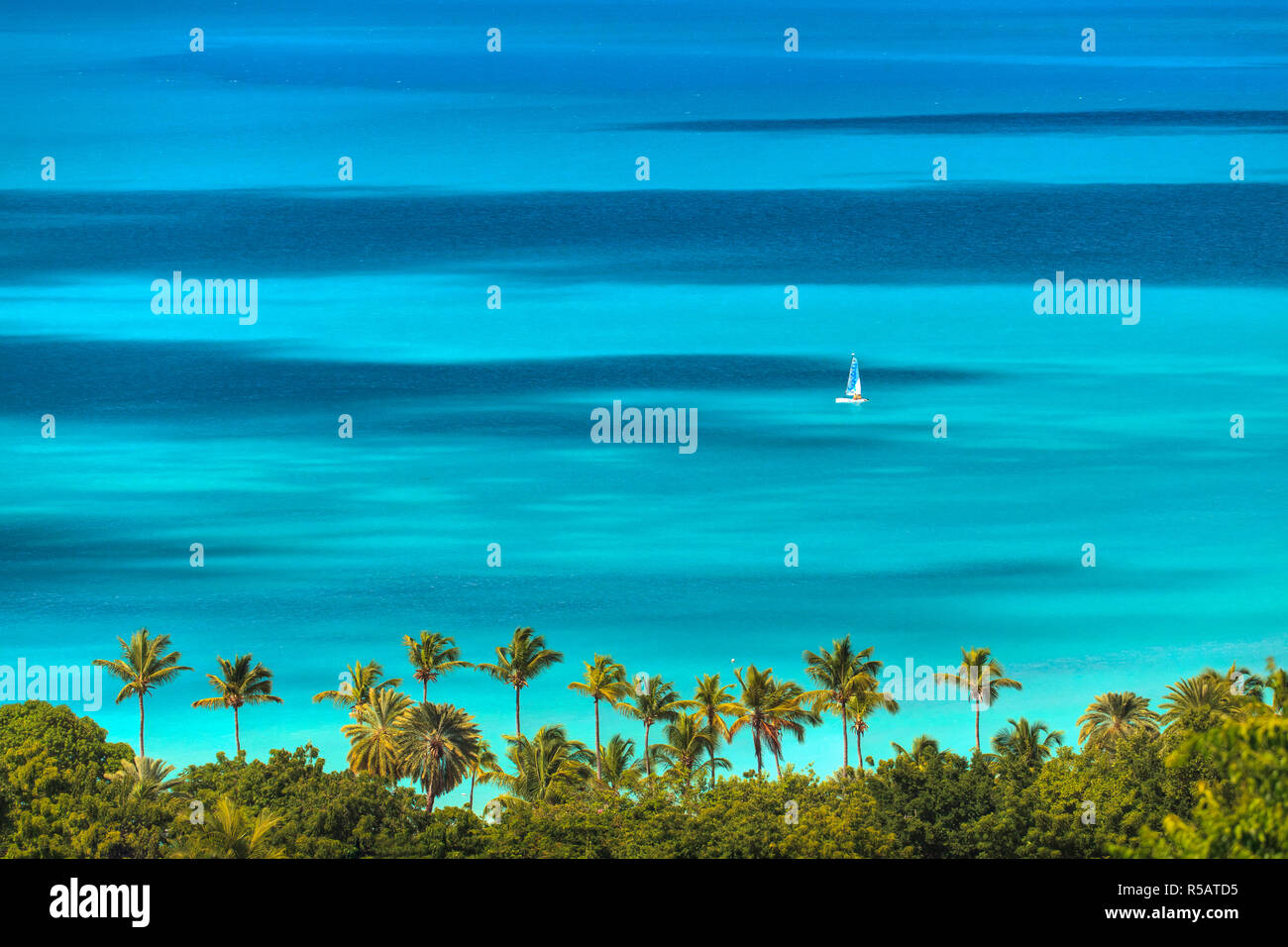 Antigua and barbuda people hi-res stock photography and images - Alamy