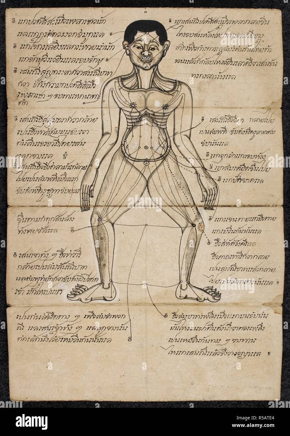 Thai medical diagram showing the pressure points on a Human body ...
