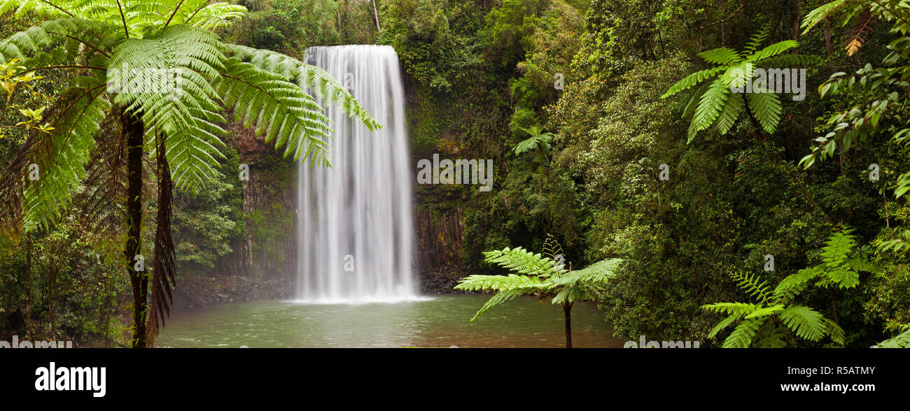 Milla Milla Falls, Atherton Highlands nr Cairns, Queensland, Australia ...
