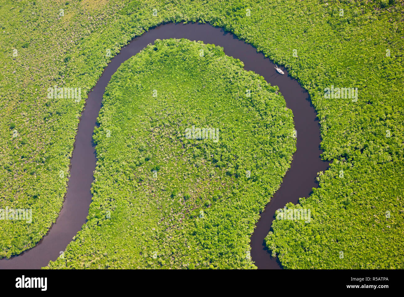 Sail boat & aerial view of rain forest, Daintree River, Daintree ...