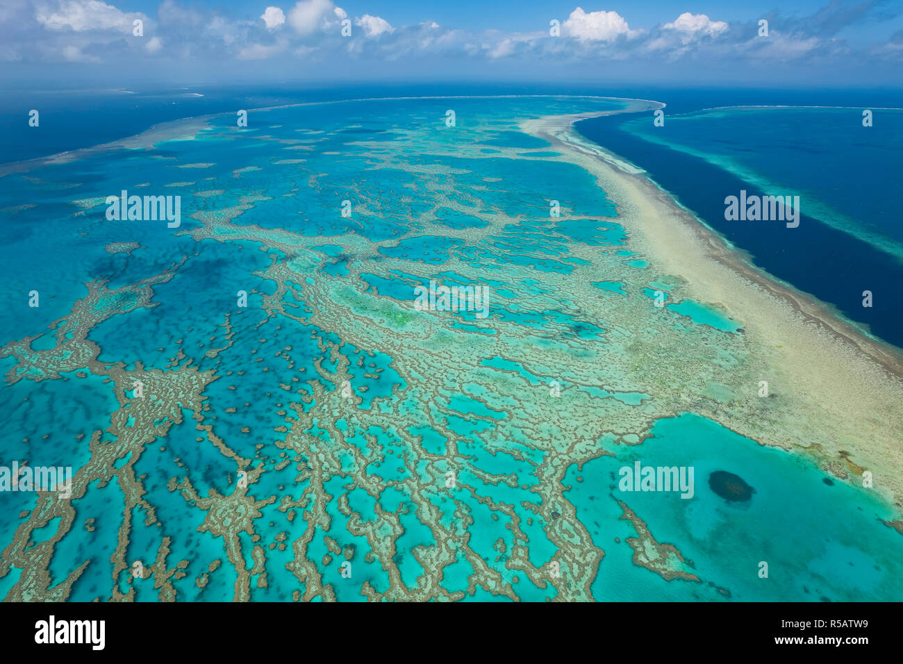 Great Barrier Reef, Queensland, Australia Stock Photo - Alamy