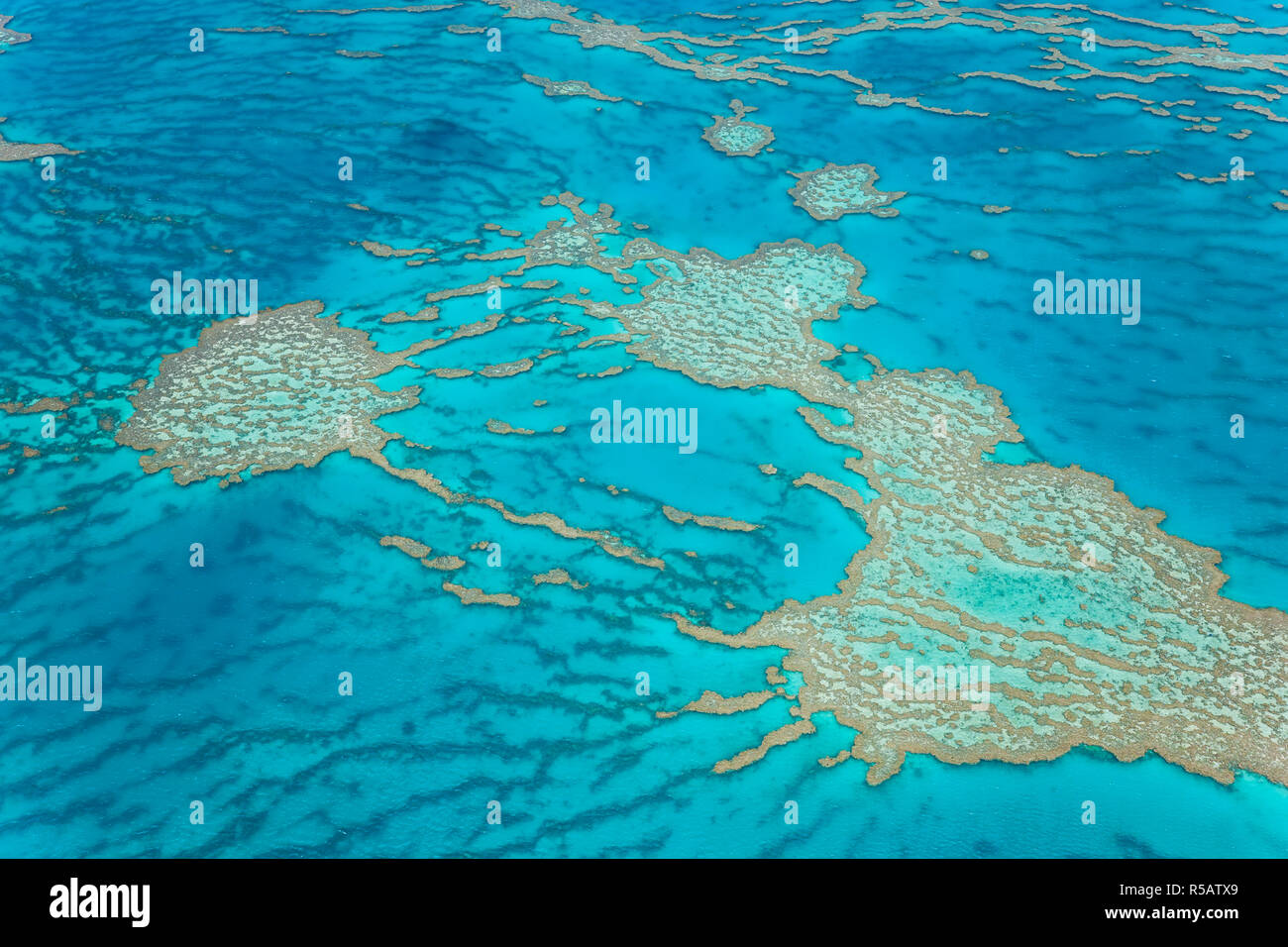 Great Barrier Reef, Queensland, Australia Stock Photo - Alamy
