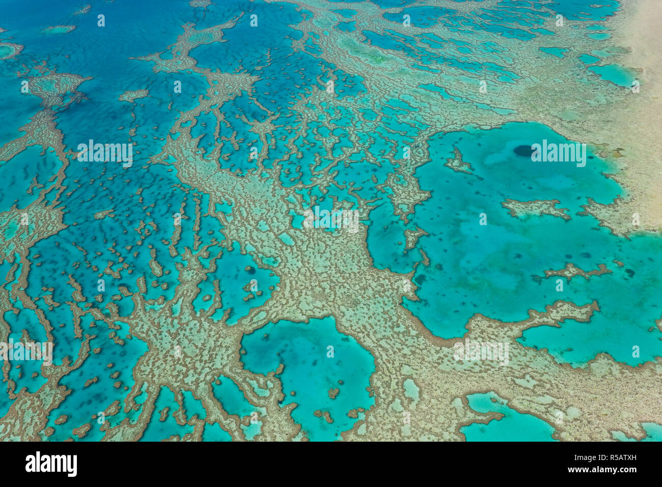 Great Barrier Reef, Queensland, Australia Stock Photo - Alamy