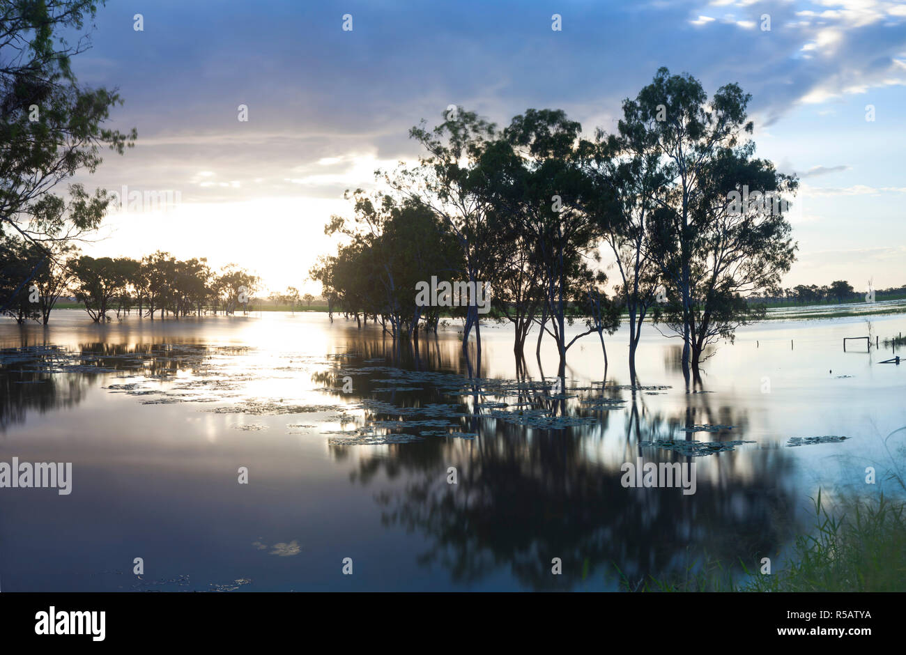 Rockhampton hi-res stock photography and images - Alamy