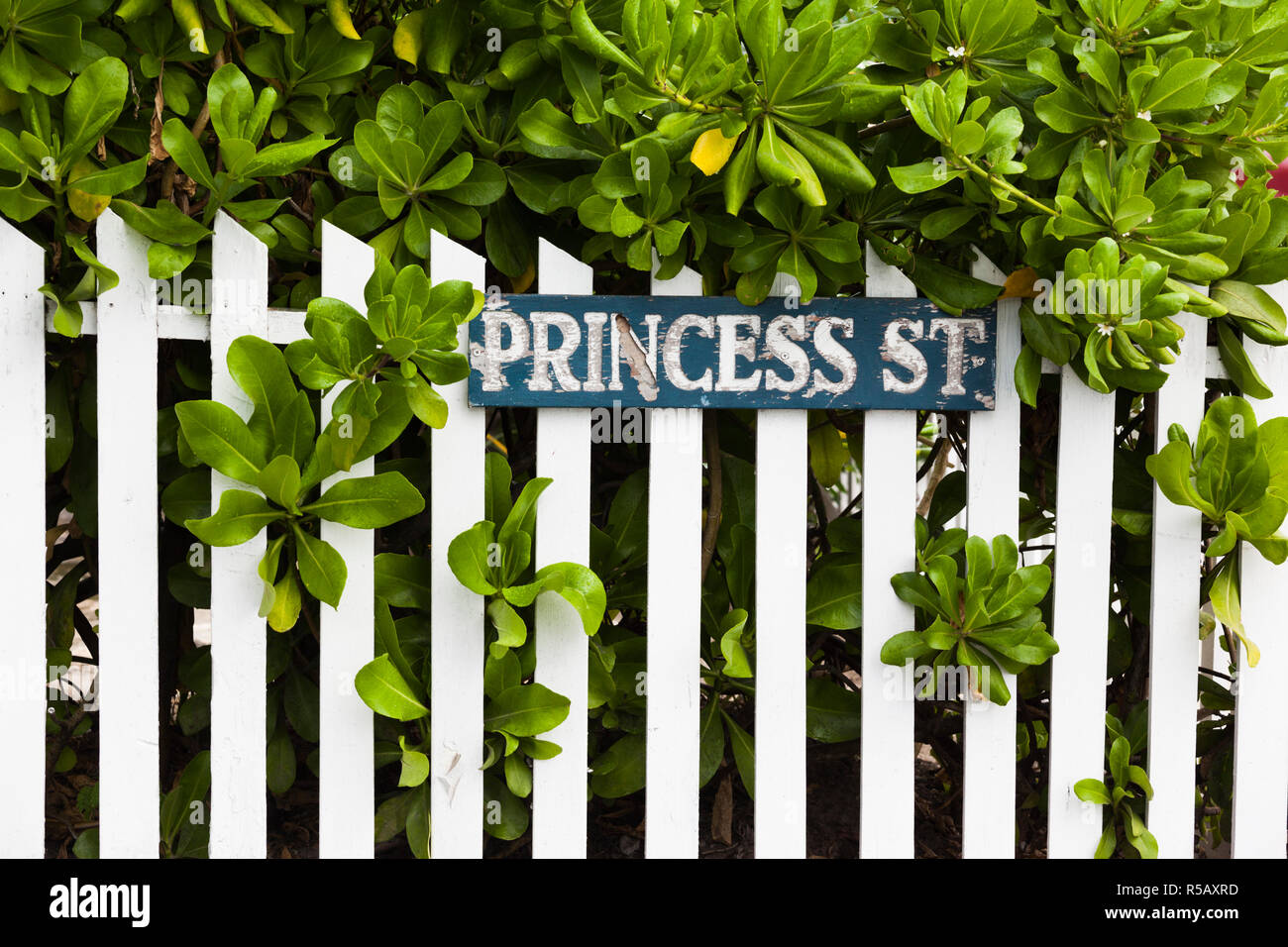 Bahamas, Eleuthera Island, Harbour Island, Dunmore Town, Princess ...