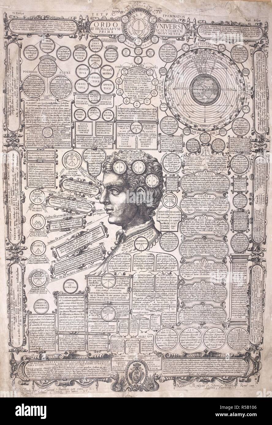 Annotated brain hi-res stock photography and images - Alamy