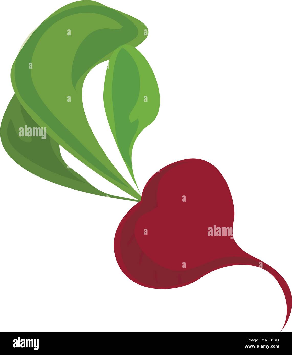 Radish icon. Cartoon of radish vector icon for web design isolated on ...