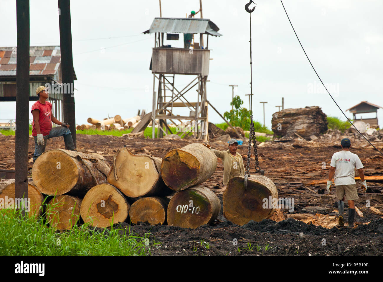 Wood workers in Iquitos , Peru Stock Photo - Alamy