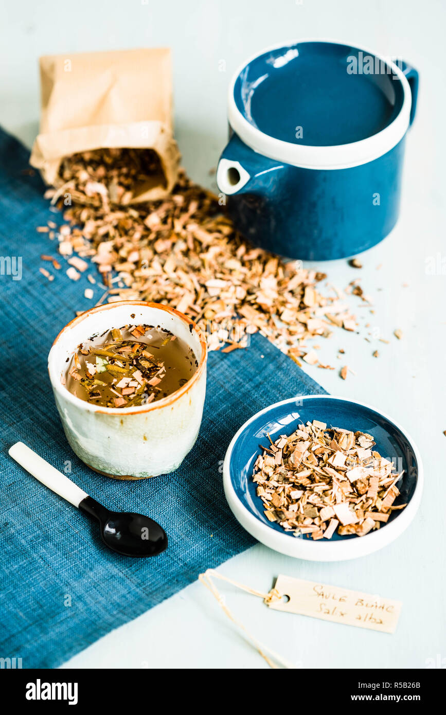 Willow bark (Salix alba), preparations of this bark are used as a ...