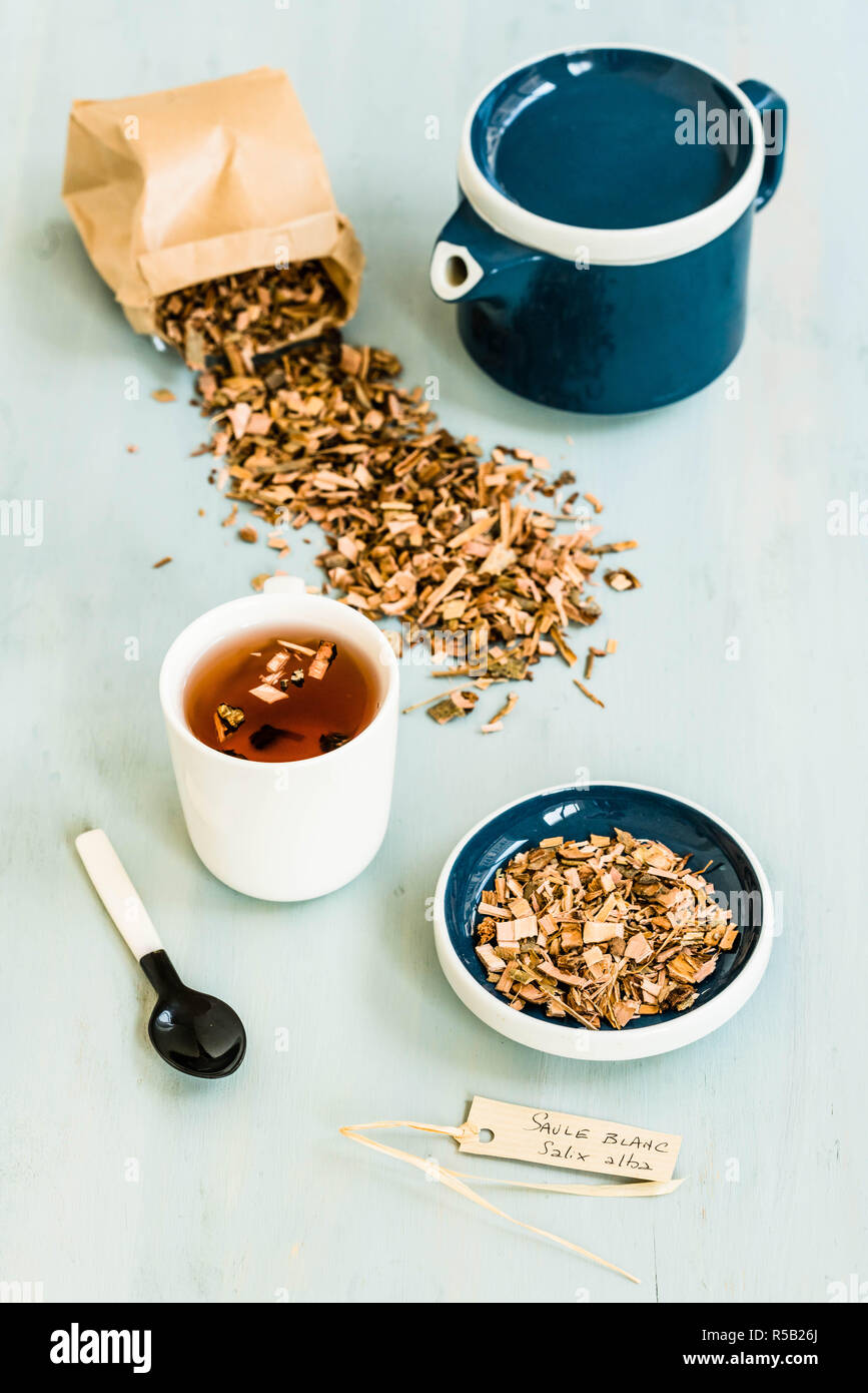 Willow bark (Salix alba), preparations of this bark are used as a ...