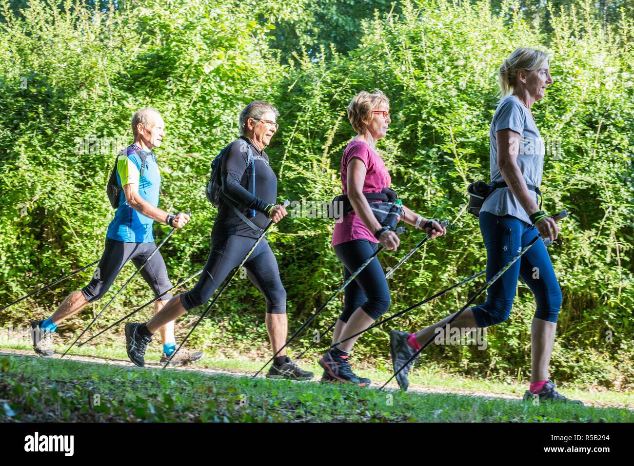 Nordic walking active woman exercising outdoor fitness hi-res stock ...