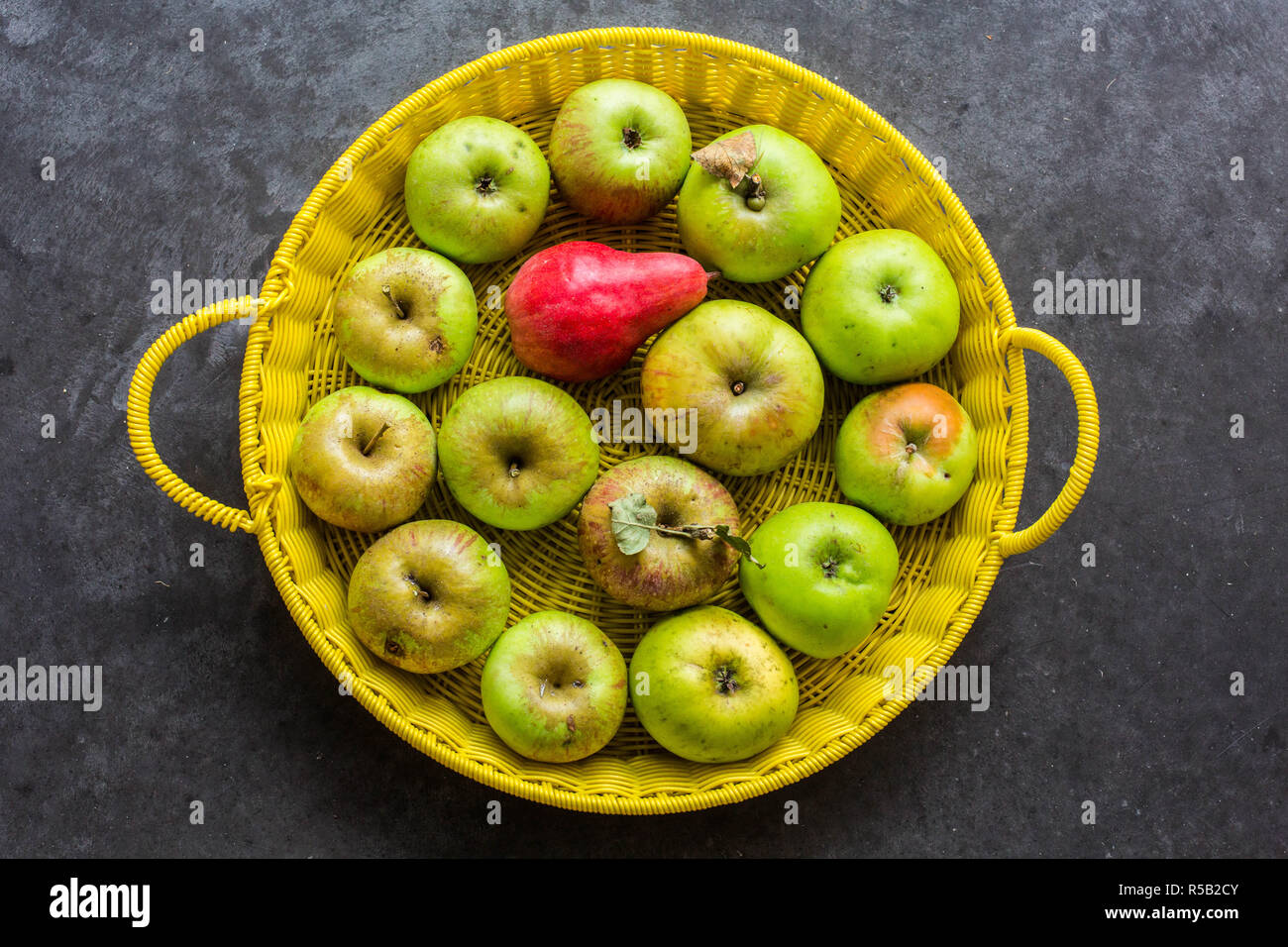 Belle De Boskoop High Resolution Stock Photography and Images - Alamy