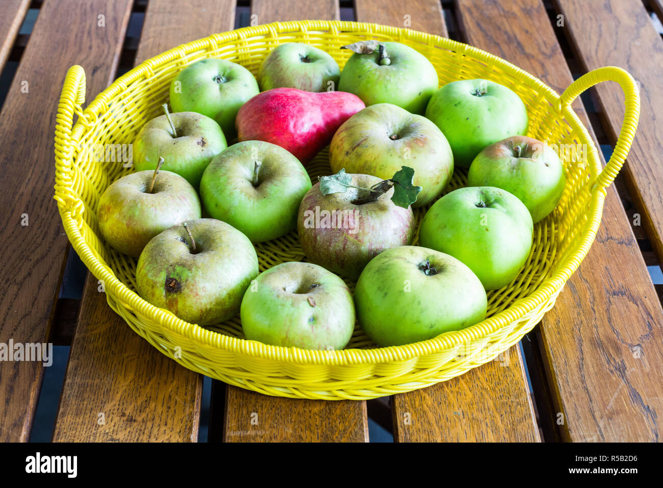 Apple belle de boskoop hi-res stock photography and images - Alamy