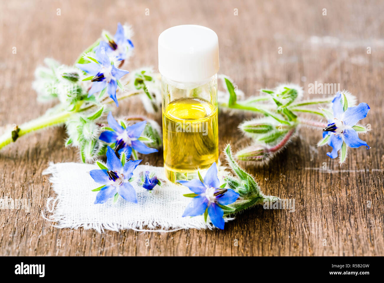 Essential oil of borage (Borago officinalis Stock Photo - Alamy