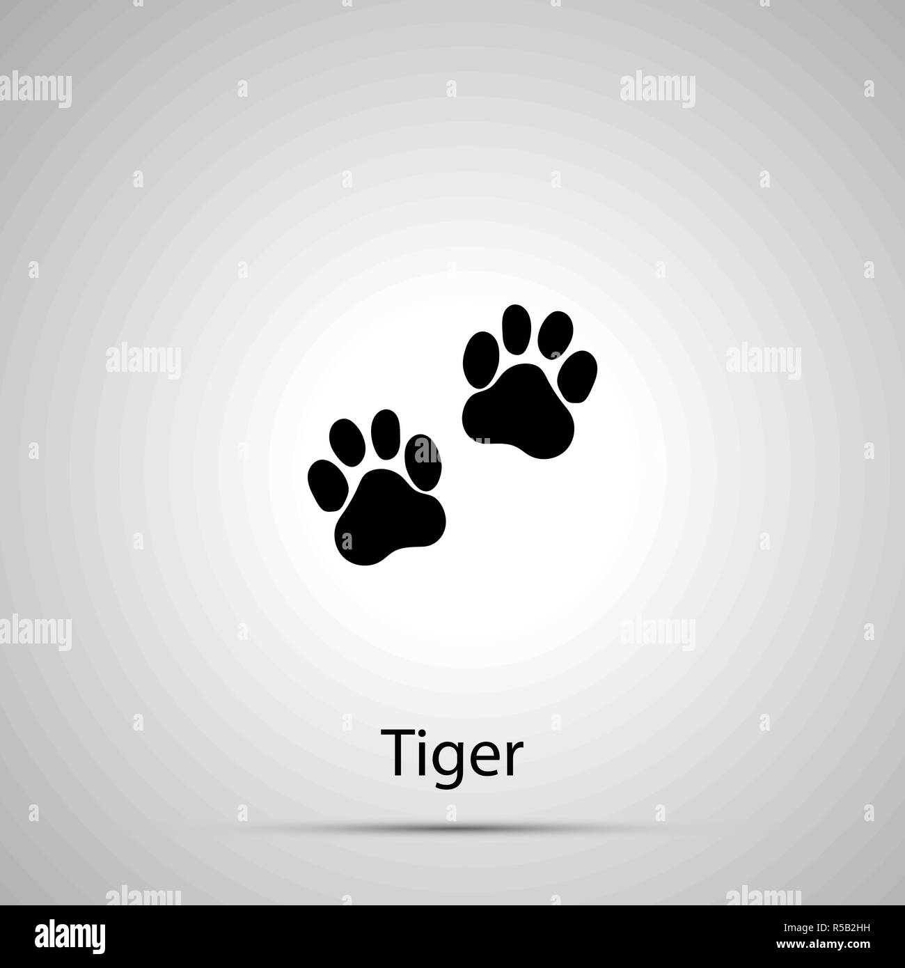 Tiger paws, steps imprints, simple black silhouette on gray Stock ...