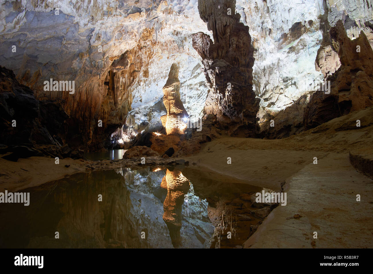 Cave fungus hi-res stock photography and images - Alamy