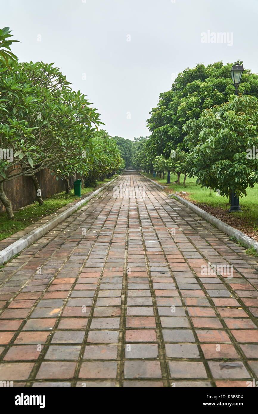 Row_of_trees hi-res stock photography and images - Alamy