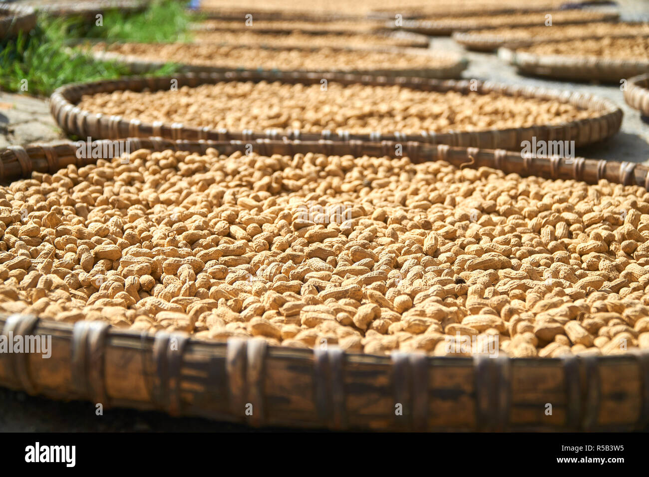 Drying groundnuts hi-res stock photography and images - Alamy