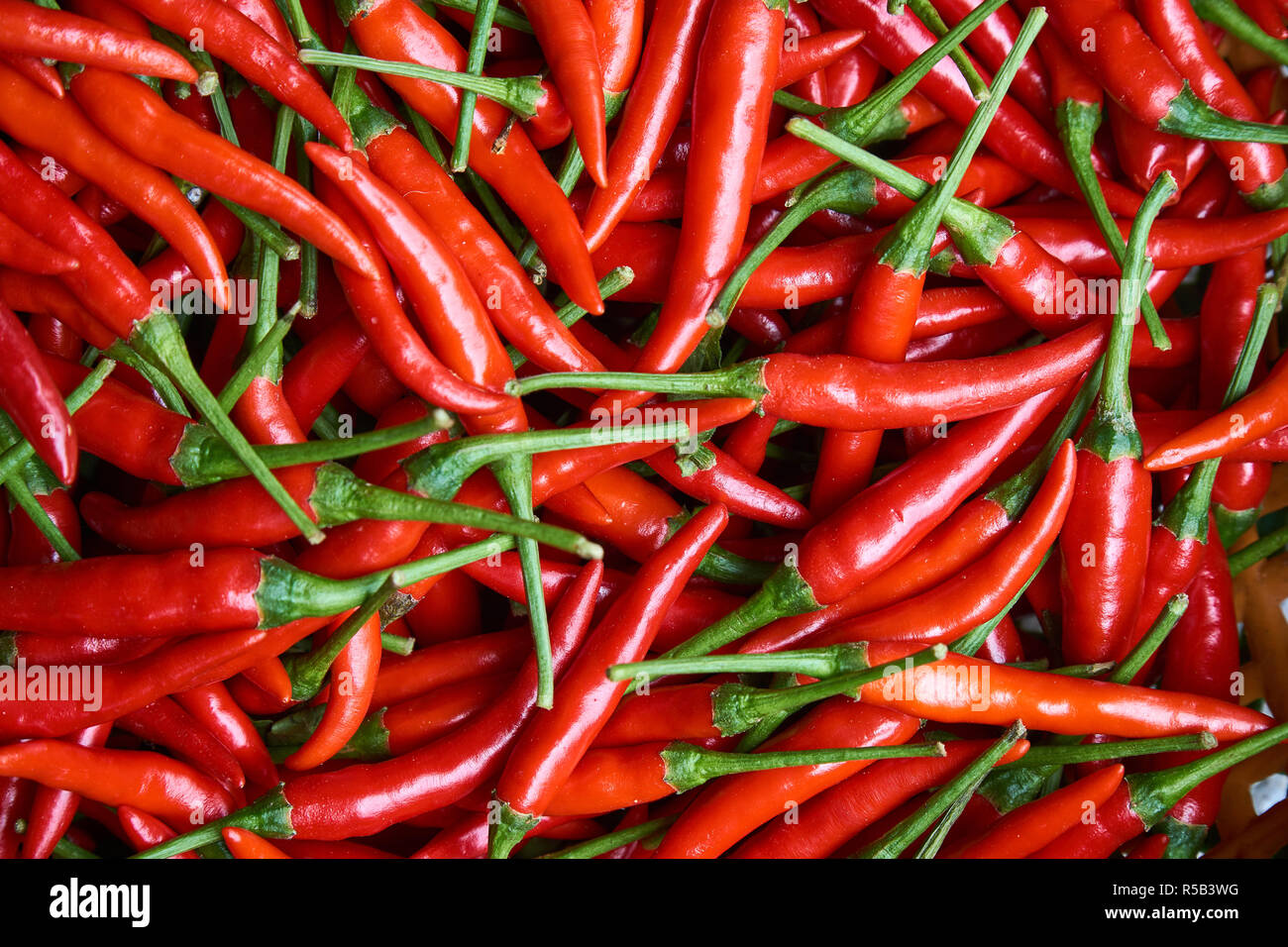 Red peppers plan view hi-res stock photography and images - Alamy