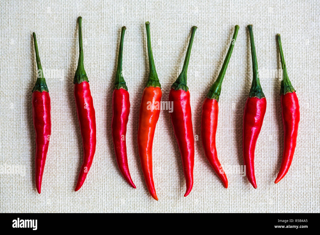 Red chilli pepper Stock Photo - Alamy