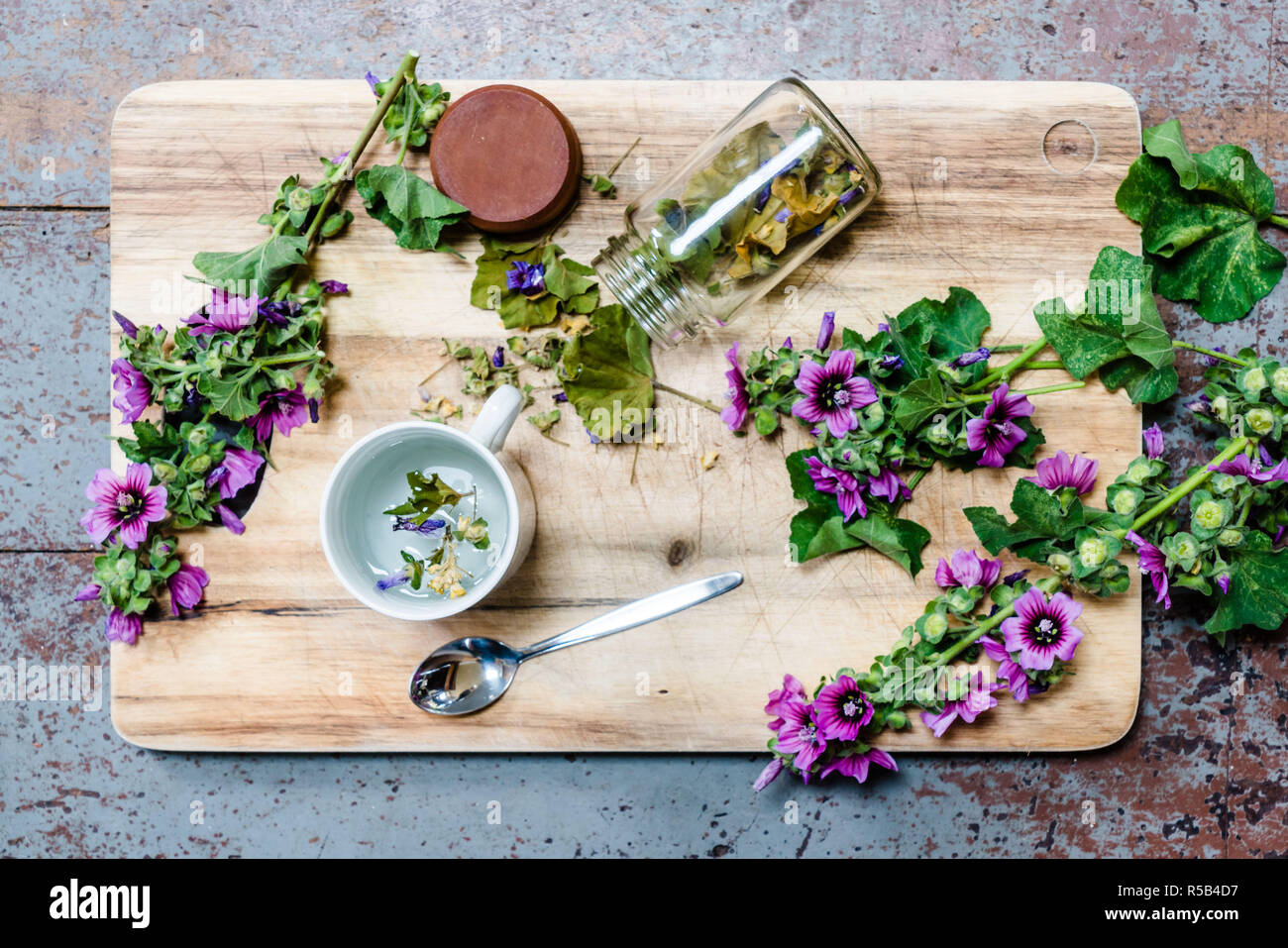 Common mallow plant herbal tea Stock Photo - Alamy