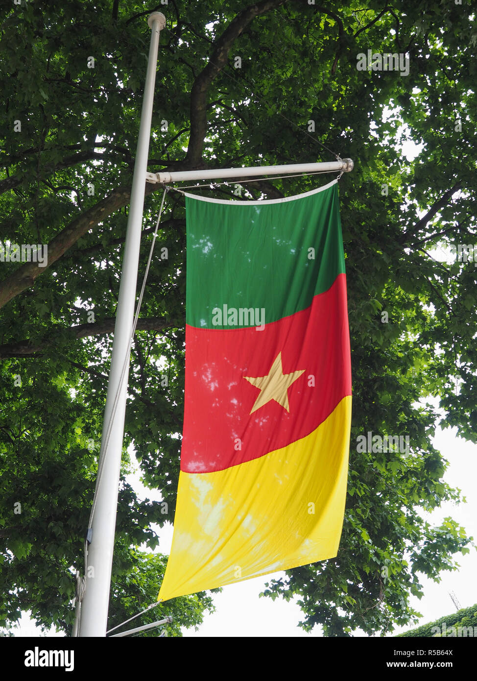 Cameroonian Flag of Cameroon Stock Photo - Alamy