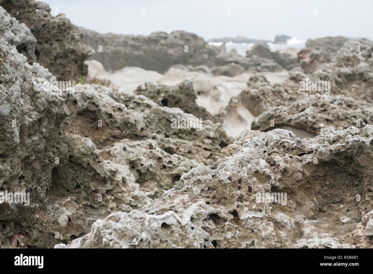 Coral reef rocks in Xiaoyeliu a.k.a Siaoyeliu seaside scenic area known ...