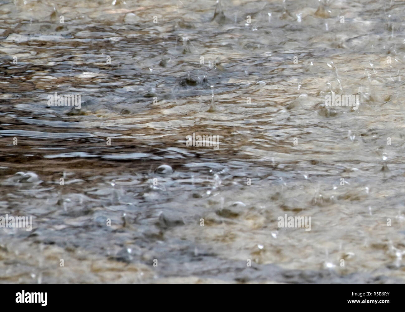 Raindrops are falling hi-res stock photography and images - Alamy