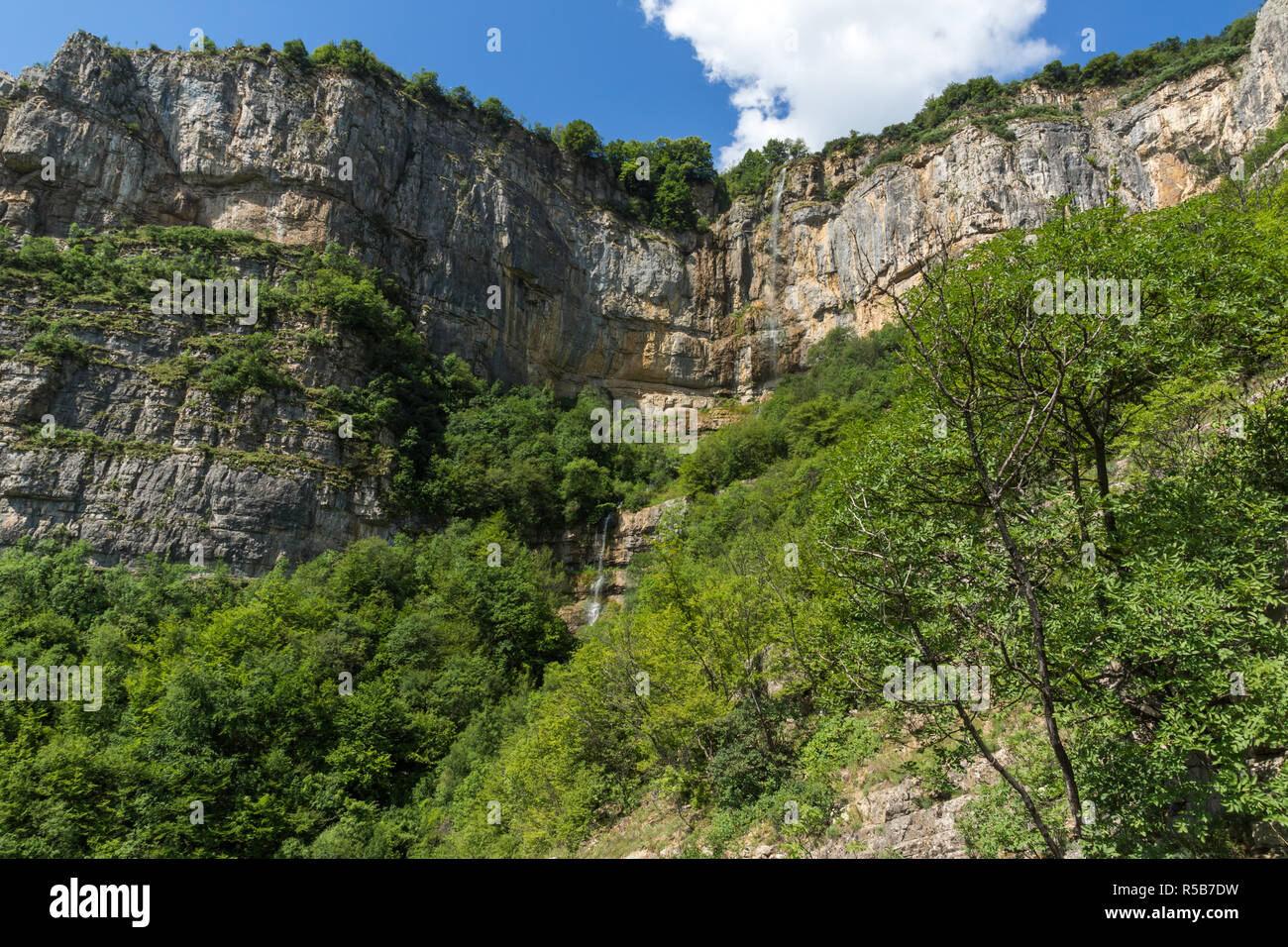 Green forest around Waterfall Skaklya near village of Zasele at Vazov ...