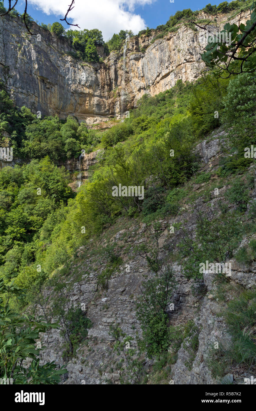 Green forest around Waterfall Skaklya near village of Zasele at Vazov ...