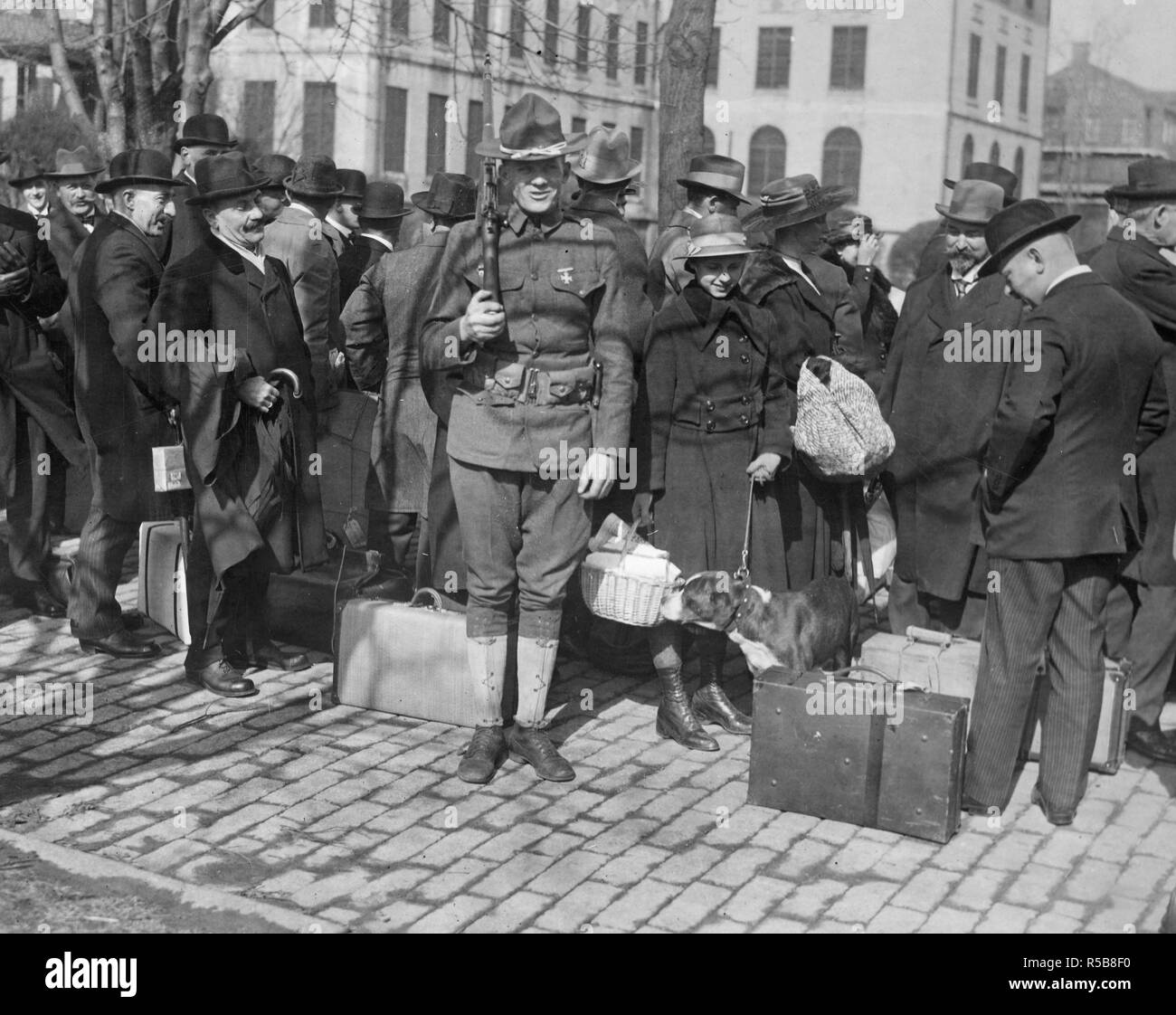 Corralled High Resolution Stock Photography and Images - Alamy