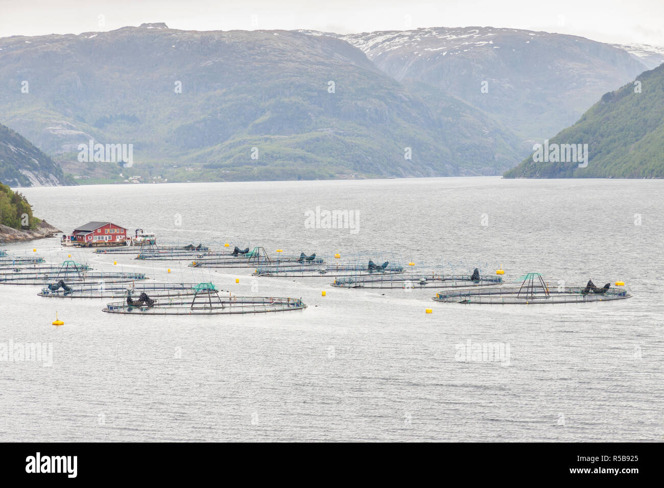 Aquaculture fish farm small hi-res stock photography and images - Alamy