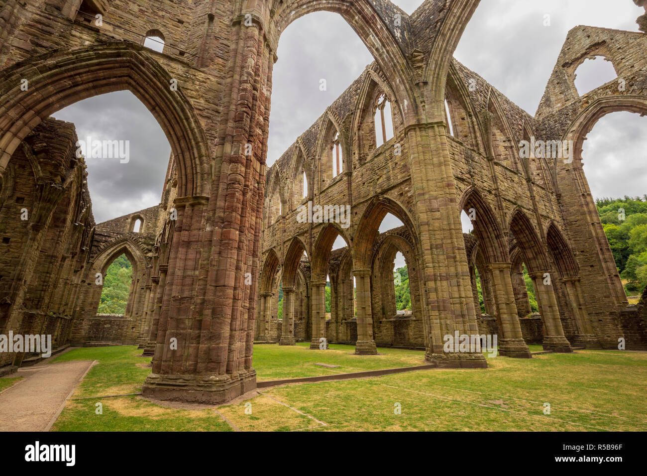 Tintern Abbey, Monmouthshire, Wales Stock Photo - Alamy